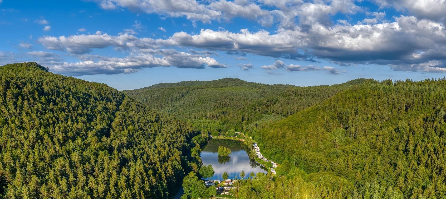 Camping Clausensee im Naturpark Pfälzerwald