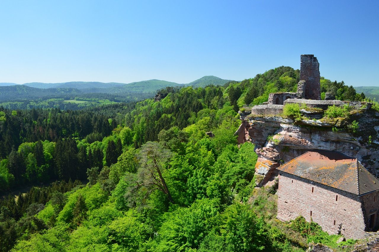 Pfälzer Waldpfad - wandern durch den Pfälzerwald